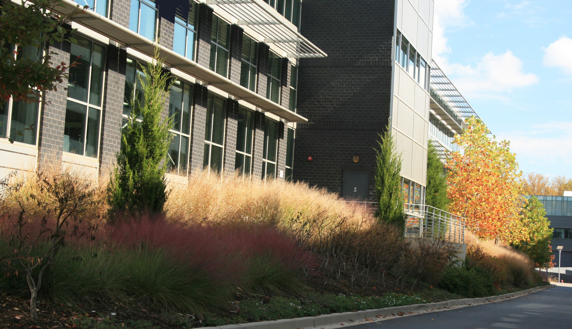 CU/ICAR Collaboration - Innocenti & Webel